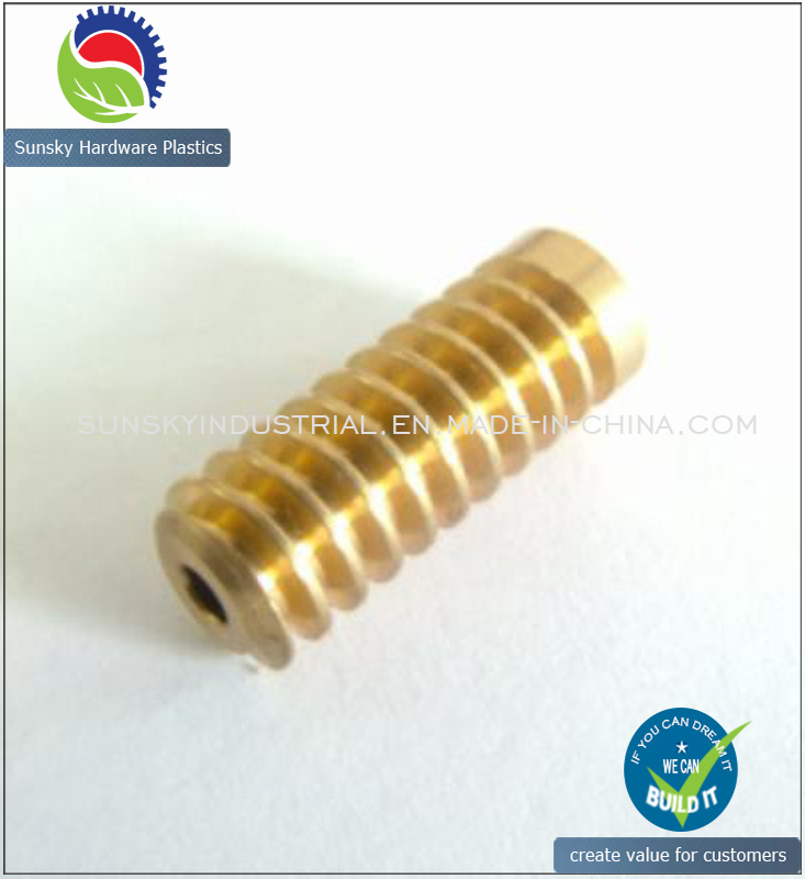 High Precision Micro/Mini Worm Gear, DC/AC Brass Worm Gear