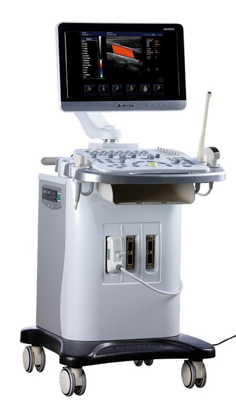 B-Ultrasound Scanner Machine (Model HY6000PRONEW) - Buy KEYWORD1 ...