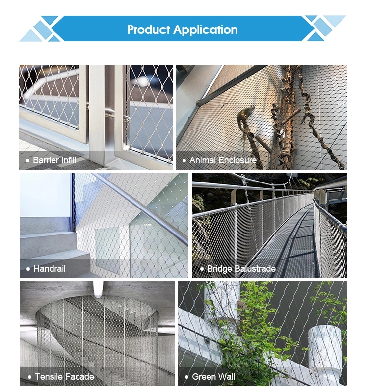 Stainless Steel Cable Mesh Netting from China Manufacturer - ANPING ...