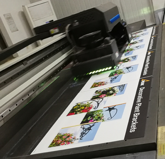 PS/HIPS Sheets - Sright Industry Co.,Ltd.